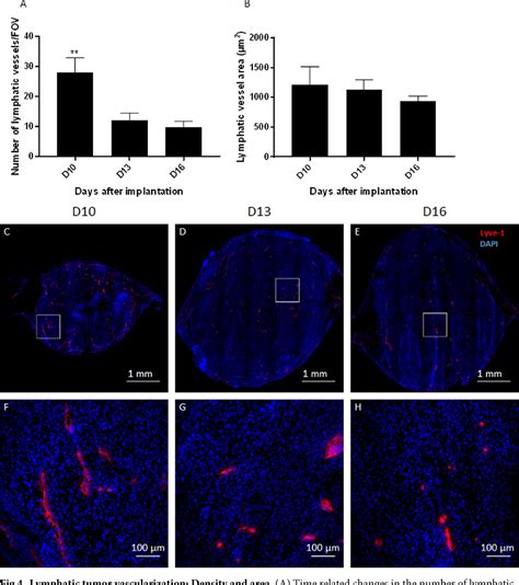 PDF Characterization Of A B16 F10 Melanoma Model Locally Implanted