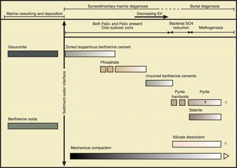 Paragenetic Sequence With The Relative Timing Of Main Diagenetic