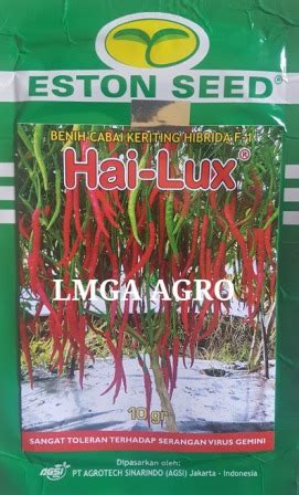 Toko Pertanian Terdekat Lmga Agro CARA MENANAM CABE HAI LUX TAHAN