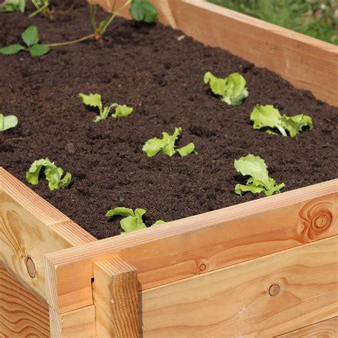 Grand Carré Potager En Bois Surélevé Vente Au Meilleur Prix