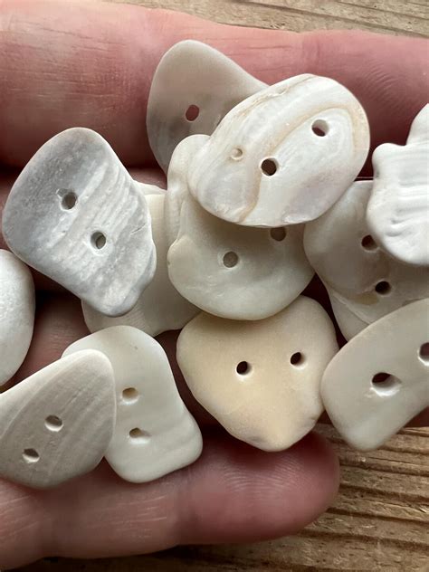 Set Of 4 Sea Shell Buttons S429 Etsy