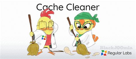 Cache Cleaner Pro 9 6 1