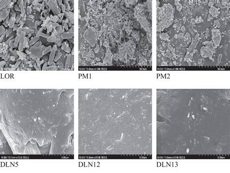 Figure 1 From Design And Characterization Of Loratadine Nanosuspension Prepared By Ultrasonic