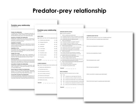 Predator Prey Relationship Made By Teachers