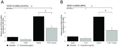 Vegf Mrna Expression In Huvec And Prpe Cells Vegf Vegf A Expression