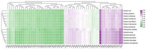 Comparative Analysis Of The Codon Usage Pattern In The Chloroplast Genomes Of Gnetales Species