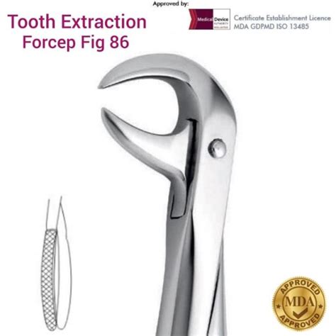 Dental Tooth Extraction Forceps Cow Horn Fig 86 Lower Molars Adult