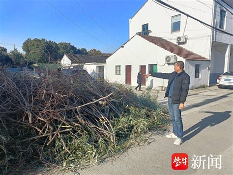 环境大整治不松懈！苏州望亭华阳村廉勤监督员春节在岗，发挥监督力量工作垃圾陈建明