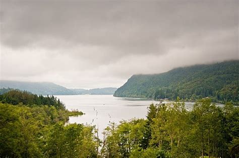 Whatcom Background Images Hd Pictures And Wallpaper For Free Download