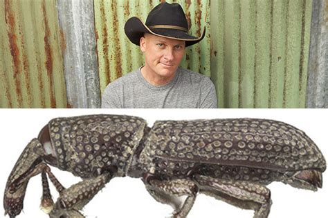Icymi New Weevil Species Named After Kevin Fowler