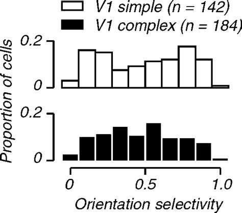Statistics Of The Orientation Selectivity Of Simple Cells And Complex Download Scientific