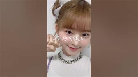 고양이인줄 알았는데 연금술사 딸기 공쥬 레이 관리자님추천뜨게해주세요 아이돌 아이브 Youtube