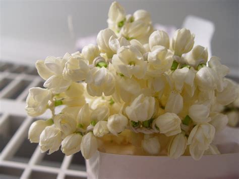 Flower Strings In Alandur Chennai Flower Factory Id 3708518155