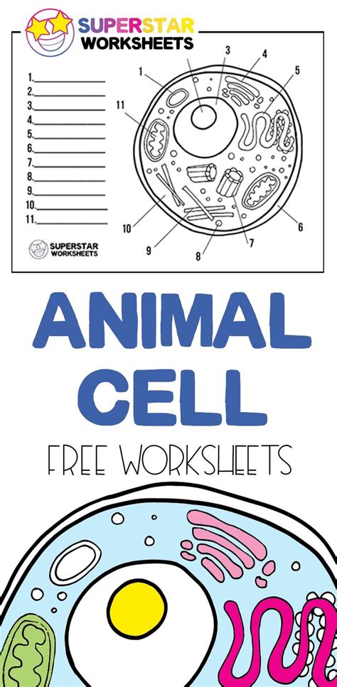 Free Printable Activity Sheet About Cell