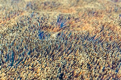 Premium Photo Growing Wavy Particles Abstract Color Background 3d