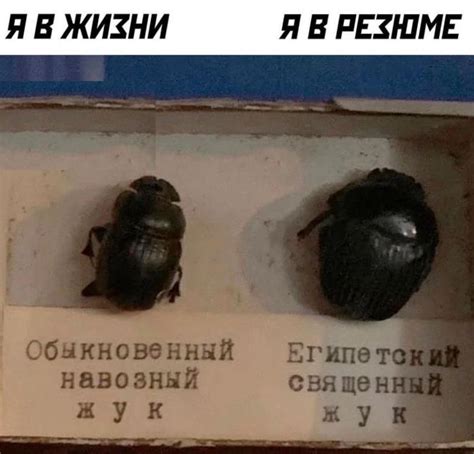 Евгений Гусинец в linkedin it qa тестирование тестировщик testing