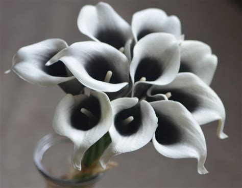 10 Black Picasso Calla Lilies Real Touch Flowers Diy Silk Wedding Bouquets Centerpieces