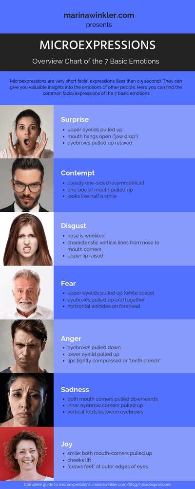 Reading Micro Expressions Guide