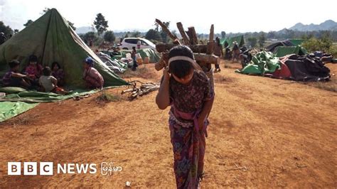 မြန်မာစစ်တလင်းများပေါ်က မြေစာပင်များ Bbc News မြန်မာ