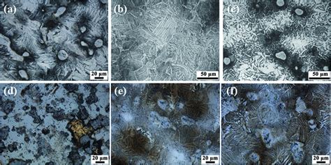 Metallographic Microstructure Of Ti25taxag Ternary Alloy Samples