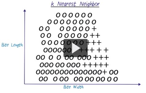 AI Chp 7 ML Flashcards Quizlet