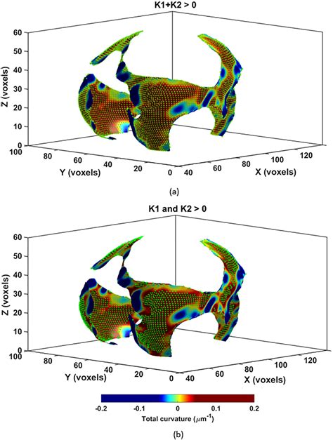 A Gasoil Interface Colored Based On The Total Curvature Values With