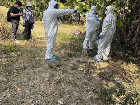 Bird Flu Situation Worrying Who Working With Cambodia News Today