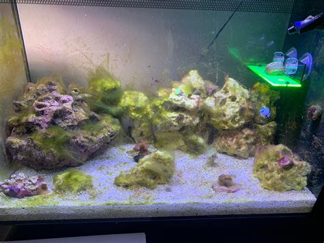 Anyone Have Nuclear Launch Codes I Can Borrow Rreeftank