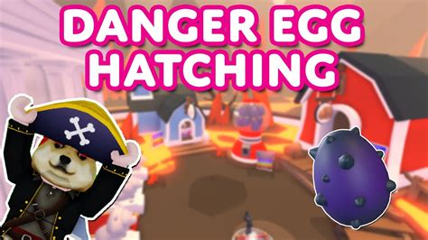 Hatching Danger Eggs And Answering Questions About Summerfest Adopt Me