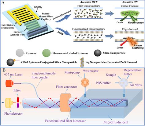 Frontiers Microfluidic Biosensors For Rapid Detection Of Foodborne Pathogenic Bacteria Recent