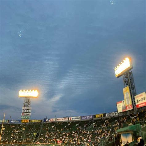 阪神タイガース ありがとう 春猫堂 ハルネコドウ 楽天ブログ