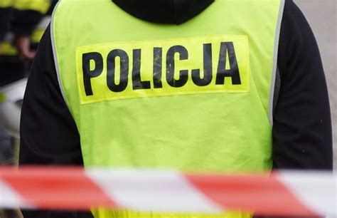 24 latek miał filmy pornograficzne z udziałem dzieci i zwierząt