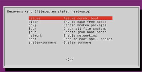 Hướng Dẫn Khôi Phục Grub Boot Loader Ubuntu 1804 Sử Dụng Rescue Mode Vinahost