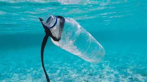 Bahaya Sampah Plastik Bagi Lingkungan Dan Kesehatan Mulai Batasi Penggunaannya Hot