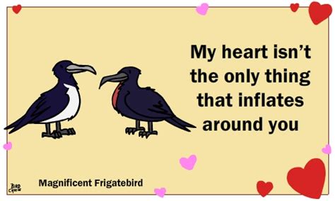 The Big Imageboard Tbib 53 Ambiguous Gender Animated Avian Beak