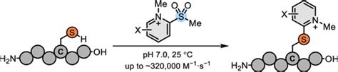 Ultra Rapid Electrophilic Cysteine Arylation Journal Of The American