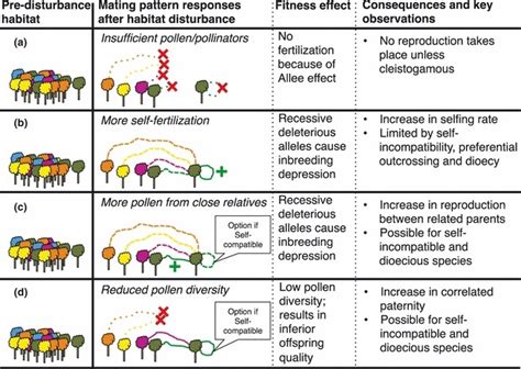 Possible Mating System Responses Of Trees To Habitat Disturbance Download Scientific Diagram