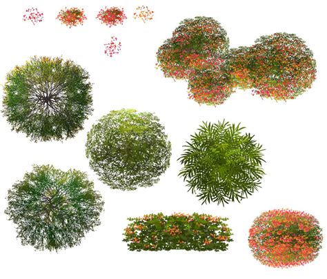 Sketchup D Rendering ConnorChris