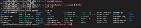 执行openssl version 发现openssl版本还是显示之前的版本 csdn博客