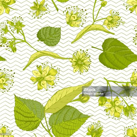 흰색 배경에 노란색과 녹색 색상의 꽃 삶과 분기와 원활한 패턴을 그린 린든 꽃 손 복고풍 빈티지 그래픽 디자인 식물 스케치 드로잉 0명에 대한 스톡 벡터 아트 및 기타