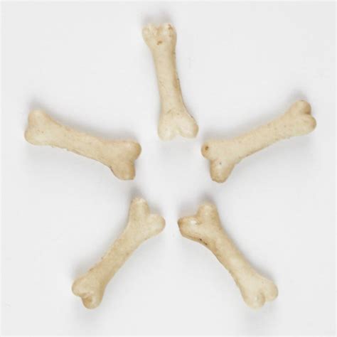 Miniature Bones For Needle Felted Characters The Makerss