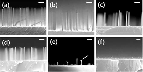 Field Emission SEM Images Of Ge Nanowires On GeBSi Substrates Grown At