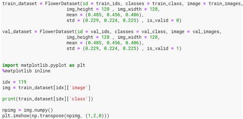 Can Not Able To Load Inputs And Labels To Gpu Vision Pytorch Forums