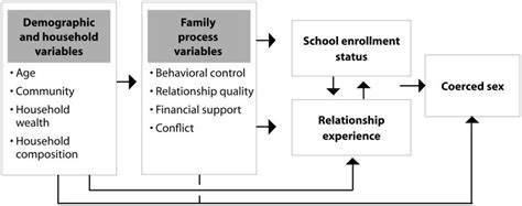 Risk For Coerced Sex Among Female Youth In Ghana Roles Of Family Context Babe Enrollment And