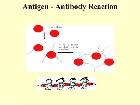 Antigen Antibody Reaction Based On Medical Science Ppt