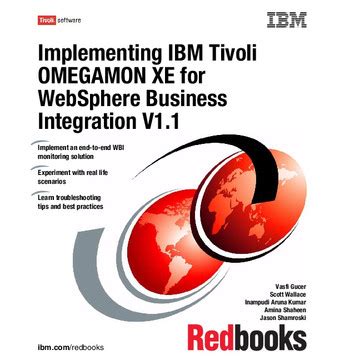 Audit Log Reports Implementing IBM Tivoli OMEGAMON XE For WebSphere Business Integration V1 1