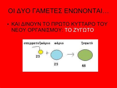 αναπαραγωγη φυτων