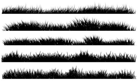 Grass Vector Art Icons And Graphics For Free Download