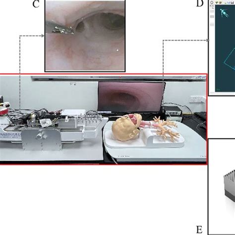 Robotic Bronchoscopy System A Robot And Bronchus Phantom B Biopsy
