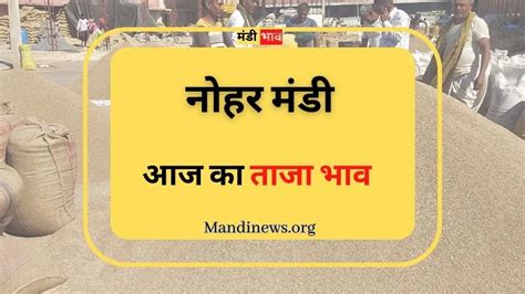 नोहर मंडी भाव 13 जुलाई 2023 सरसों गवार चना कनक अरंडी नरमा और